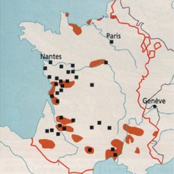Protestantism under the rule of the Edict of Nantes | Musée virtuel du ...